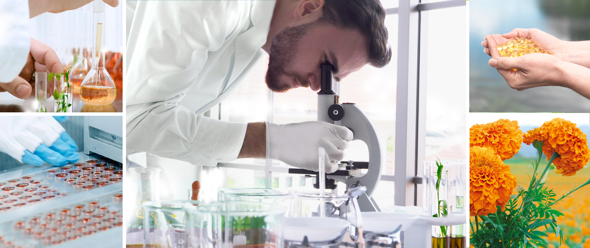 VitaeLab - Laadukkaat ravintolistä kotiin toimitettuna